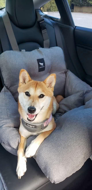 Jacko & Co® Premium Dog Car Seat – Jacko & Co