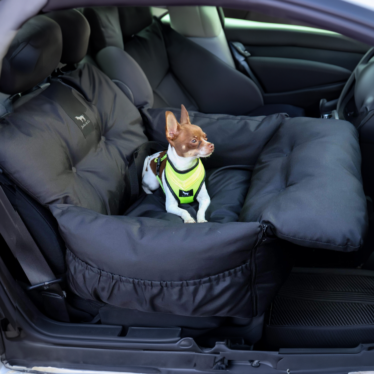 Jacko & Co® Premium Dog Car Seat – Jacko & Co