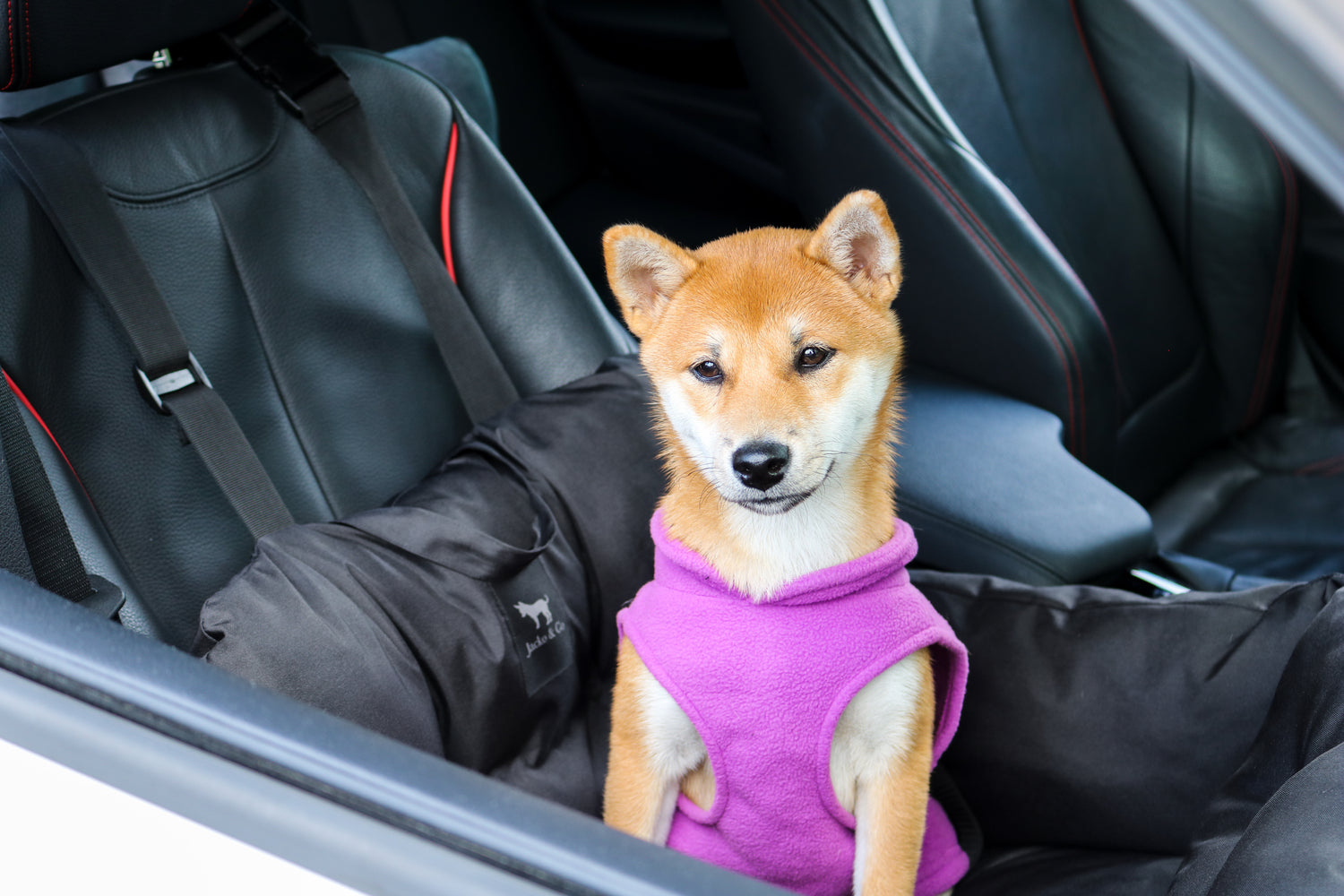 Jacko & Co® | Premium Dog Car Seats, Apparel & Accessories – Jacko & Co