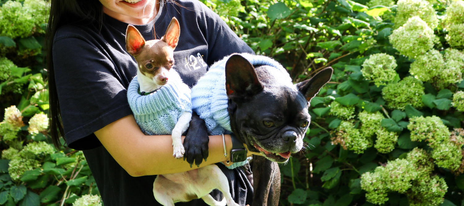 Our Story – Jacko & Co