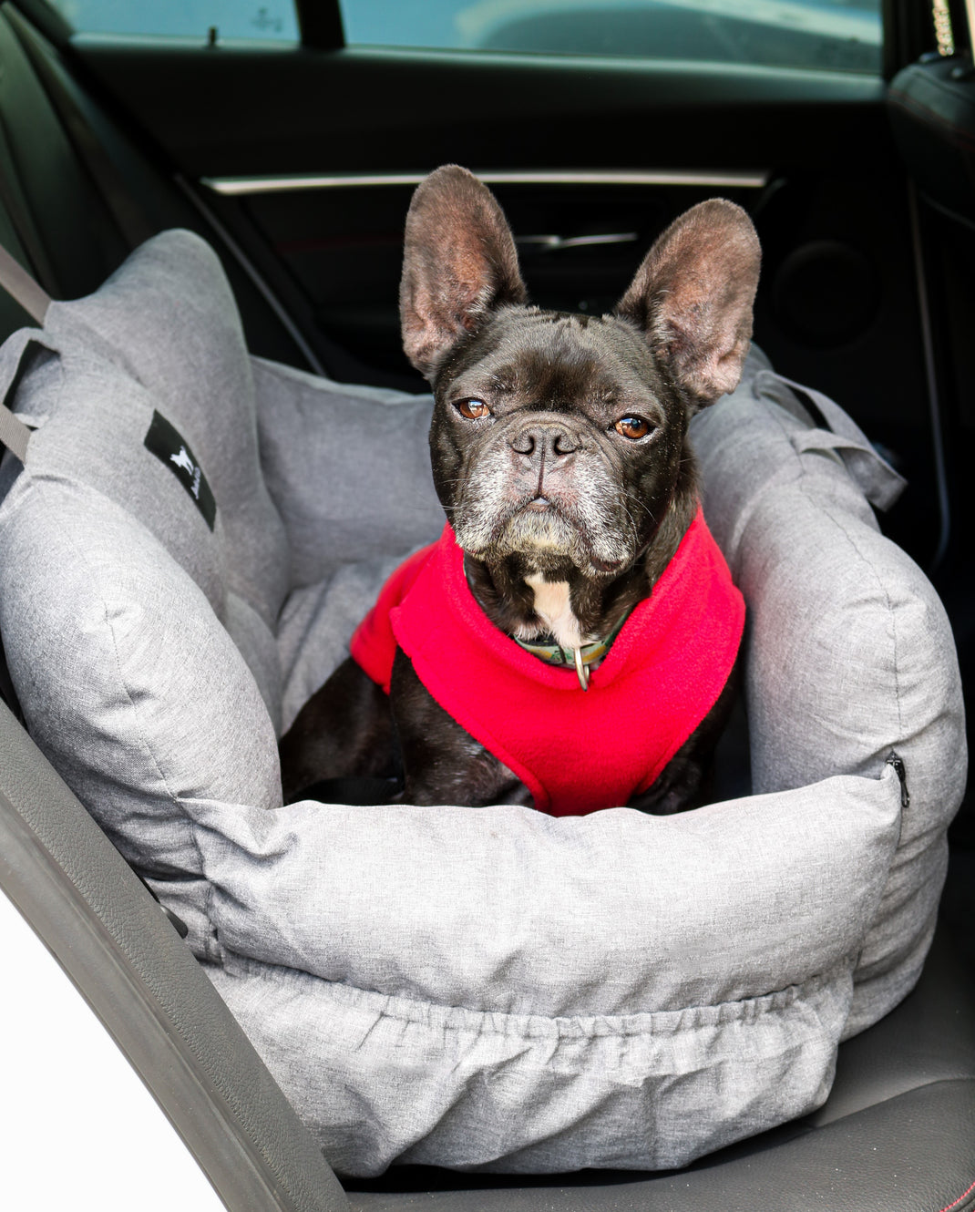 Jacko & Co® | Premium Dog Car Seats, Apparel & Accessories – Jacko & Co