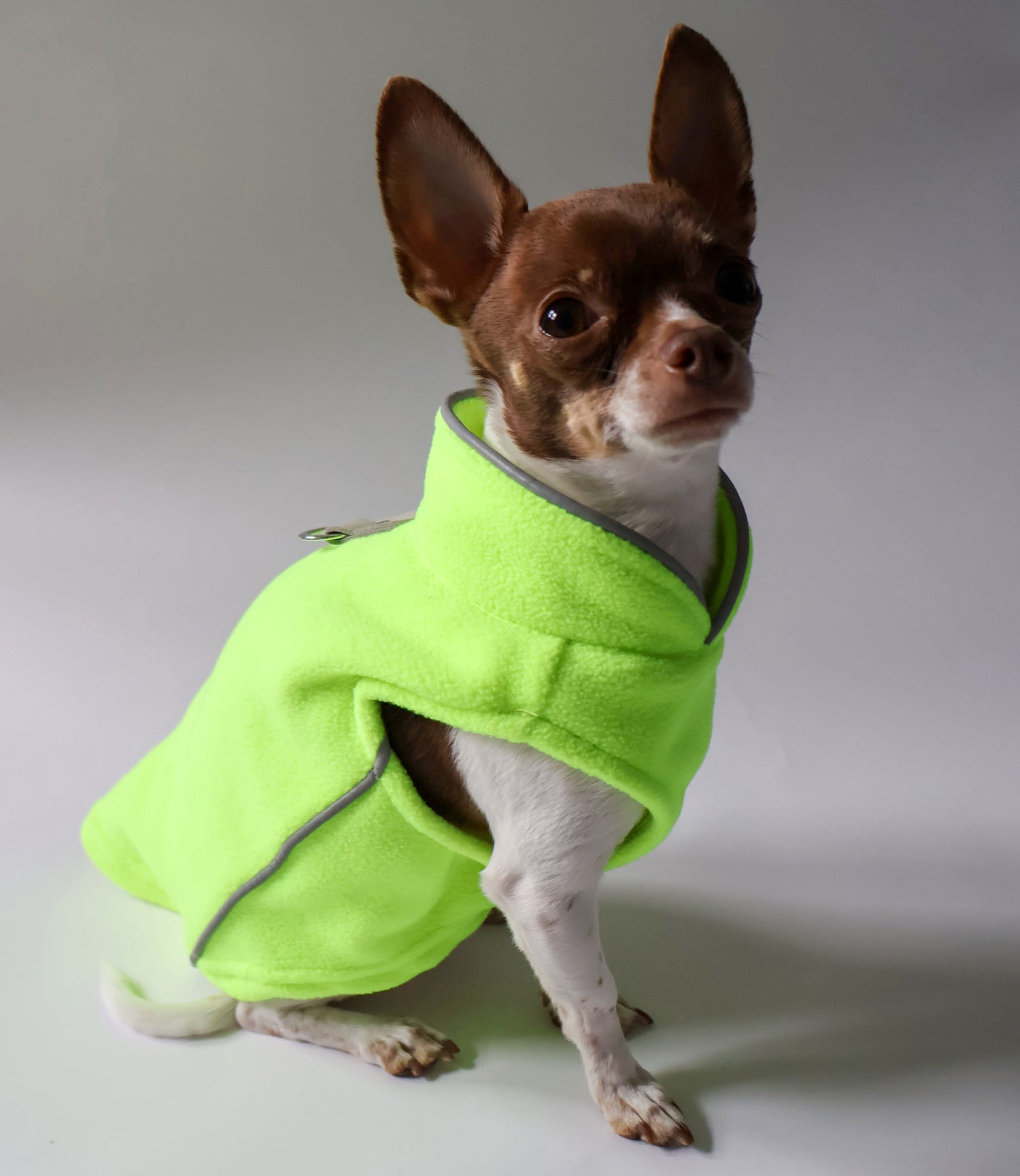 Jacko & Co® | Premium Dog Car Seats, Apparel & Accessories – Jacko & Co