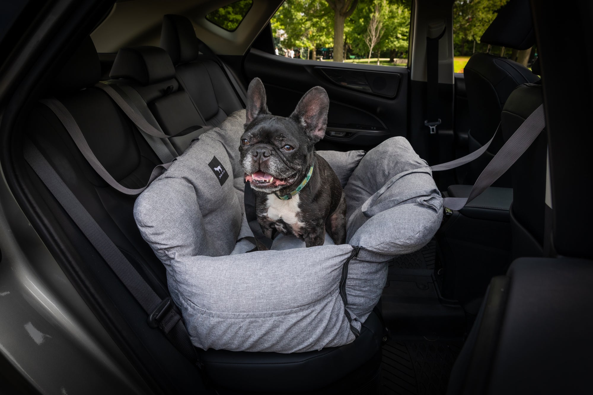 Jacko & Co® | Premium Dog Car Seats, Apparel & Accessories – Jacko & Co