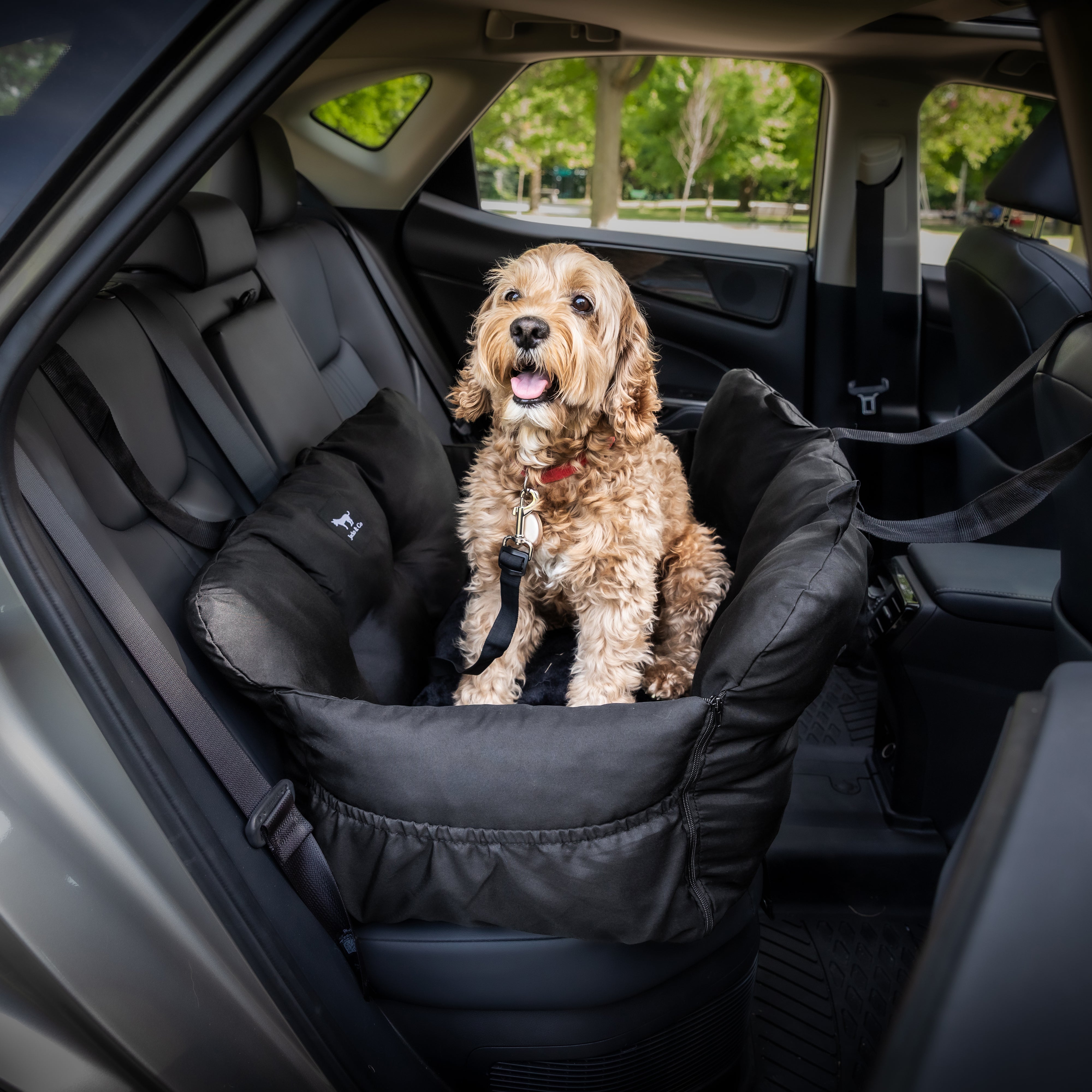 Jacko & Co® | Premium Dog Car Seats, Apparel & Accessories – Jacko & Co