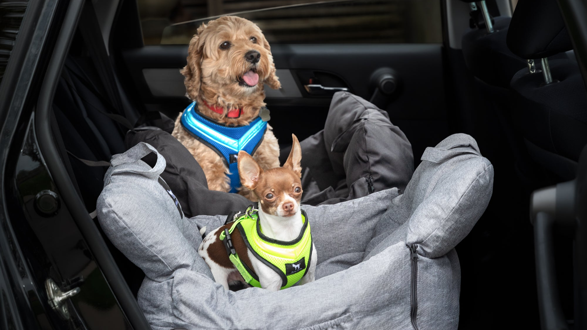 Jacko & Co® | Premium Dog Car Seats, Apparel & Accessories – Jacko & Co