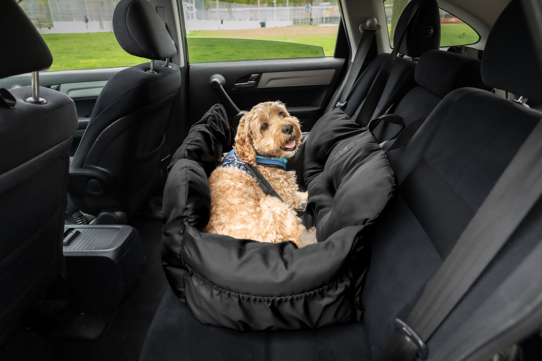 Jacko & Co® | Premium Dog Car Seats, Apparel & Accessories – Jacko & Co