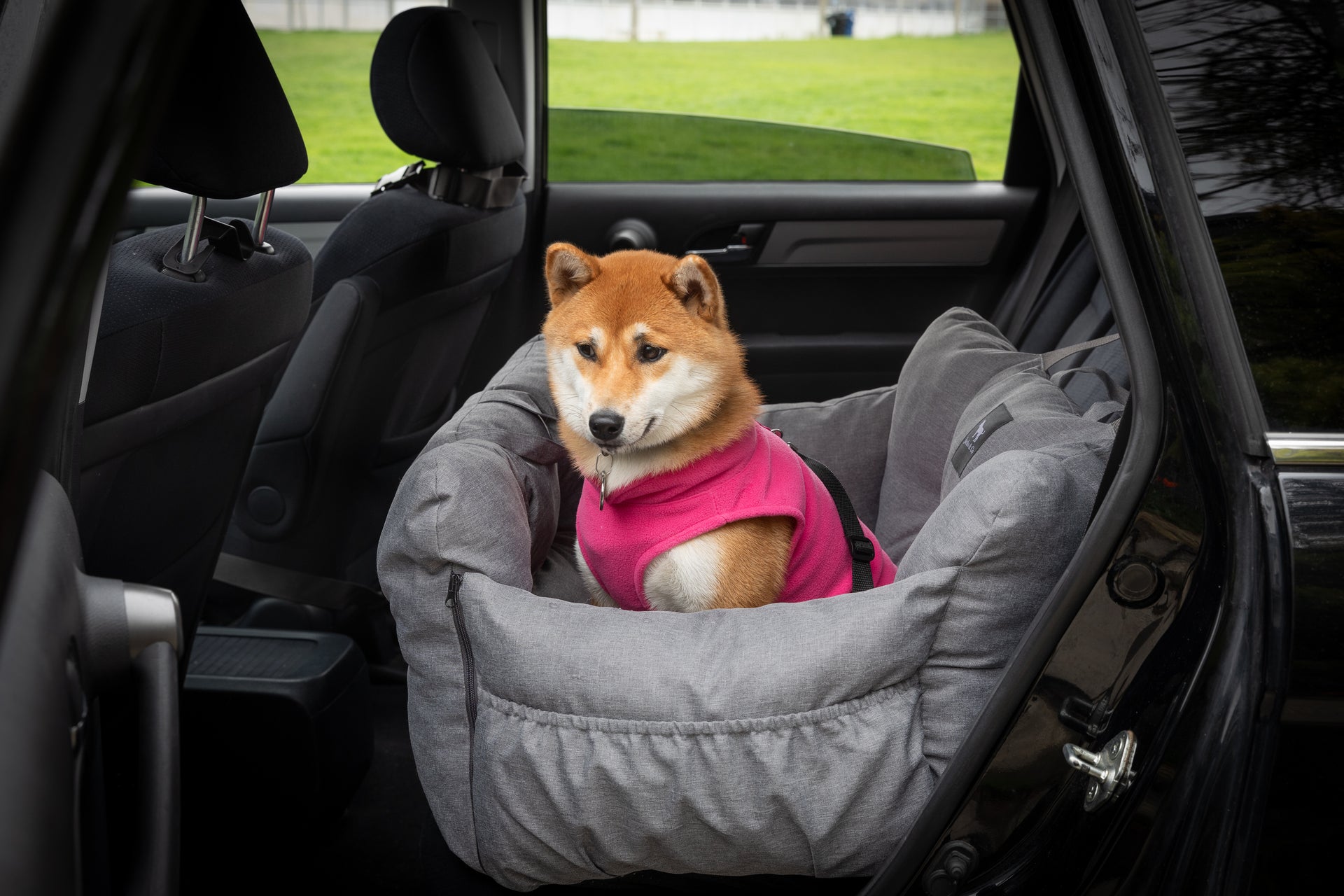 Jacko & Co® Premium Dog Car Seat – Jacko & Co