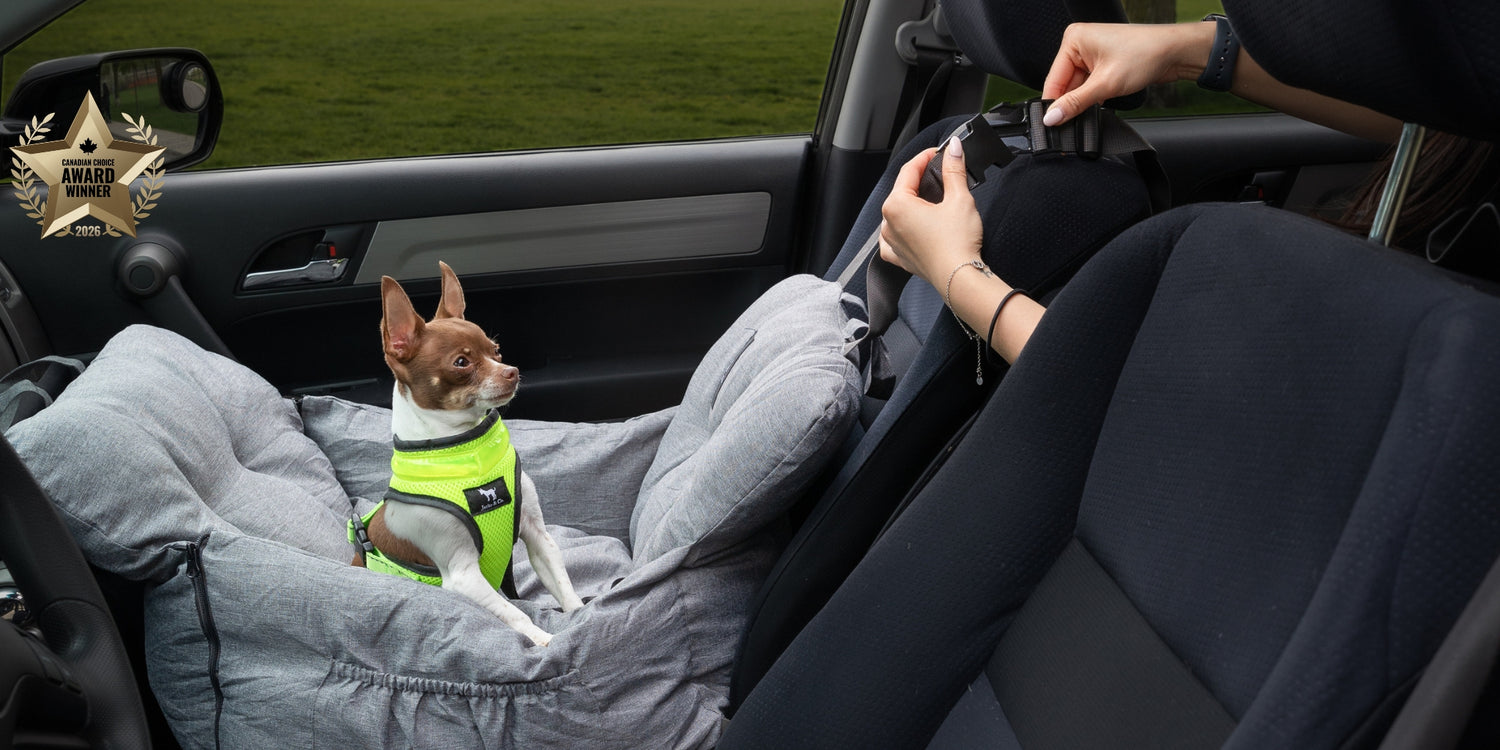 Jacko & Co® | Premium Dog Car Seats, Apparel & Accessories – Jacko & Co