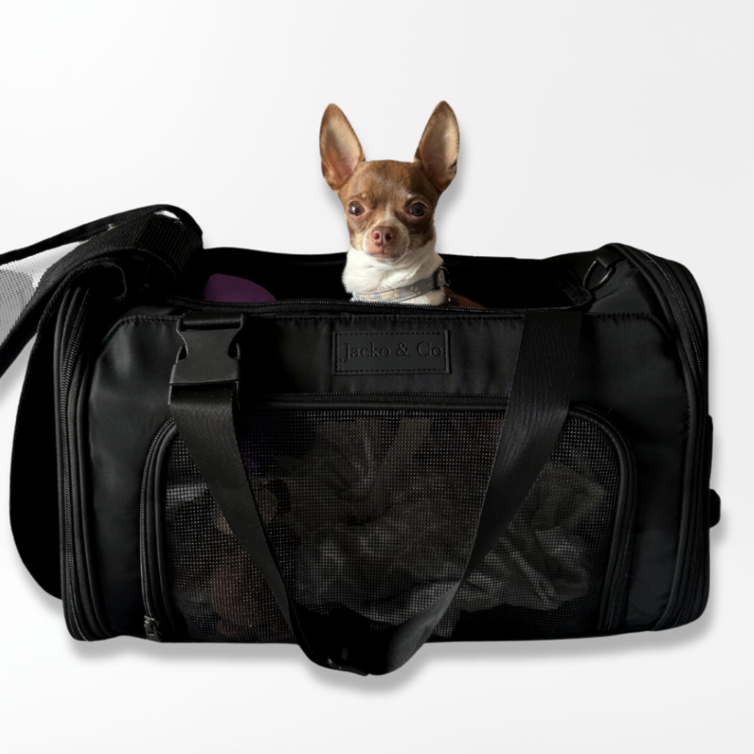 Jacko & Co® | Premium Dog Car Seats, Apparel & Accessories – Jacko & Co