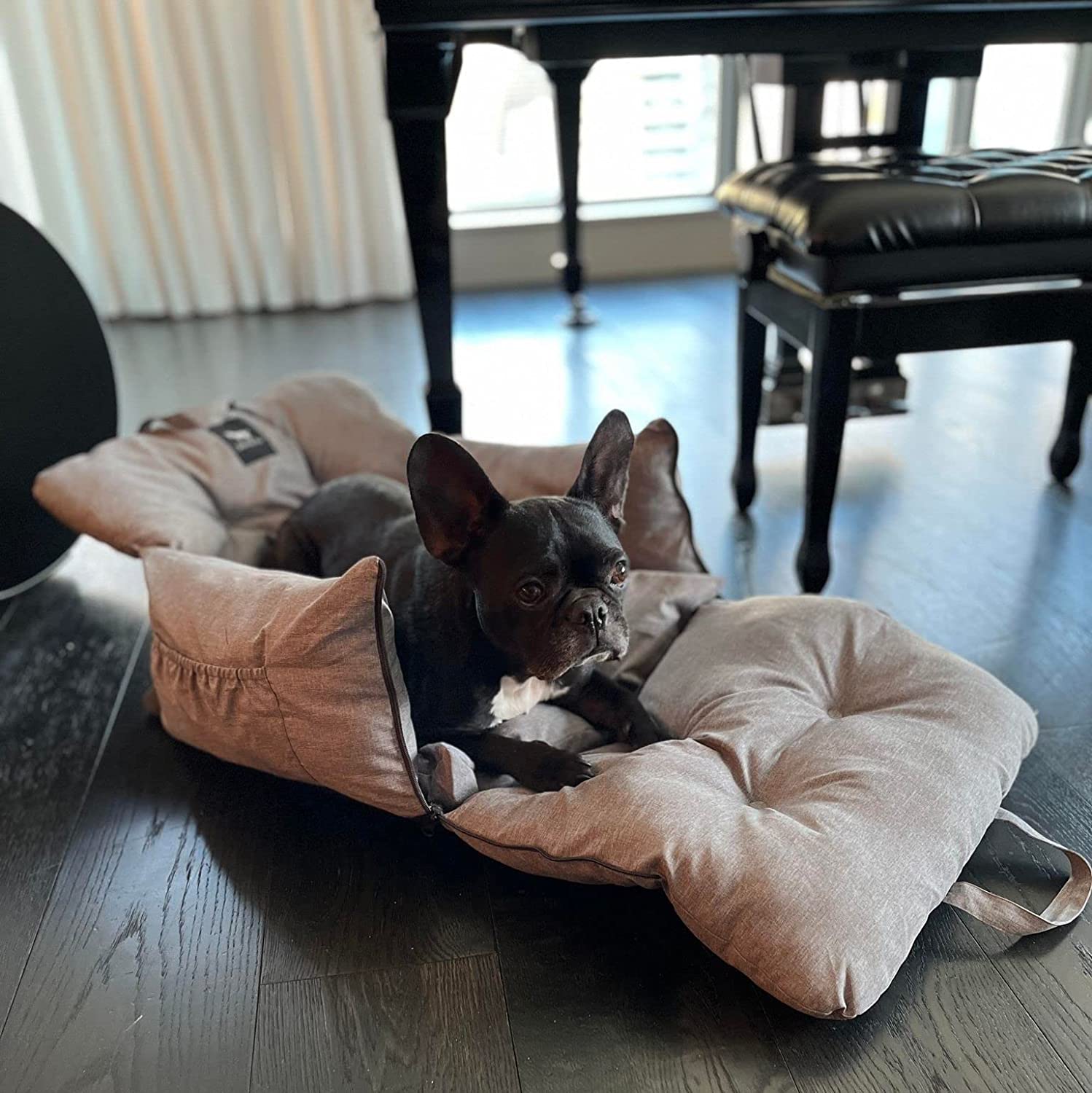 Jacko & Co® Premium Dog Car Seat – Jacko & Co